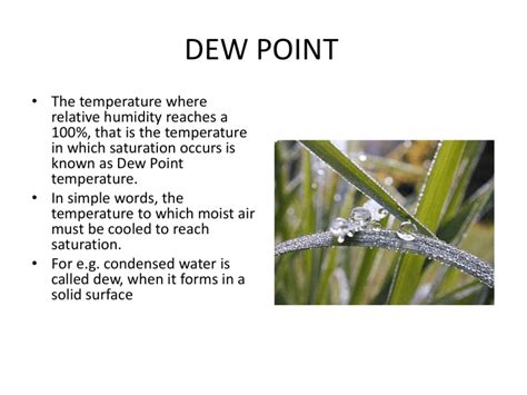 Dew Point Explained Understanding Condensation