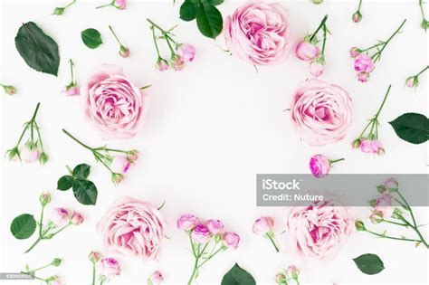 파스텔 장미와 흰 배경에 잎 꽃 라운드 프레임 평면 위치 최고 볼 수 있습니다 프레임 배경 0명에 대한 스톡 사진 및 기타 이미지 Istock
