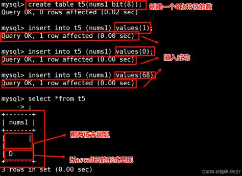 Mysql数据类型mysql Varchar Csdn博客 Mysql数据类型mysql Varchar Csdn博客