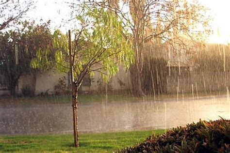 Clima De Saltillo Y Monterrey Pronostican Sábado Soleado Domingo Con Lluvia Y Un Lunes Cálido