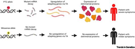 A New Hypothesis To Explain Disease Dominance Trends In Genetics