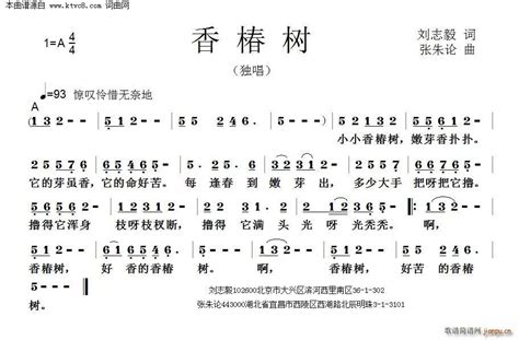 香椿树 歌谱简谱网
