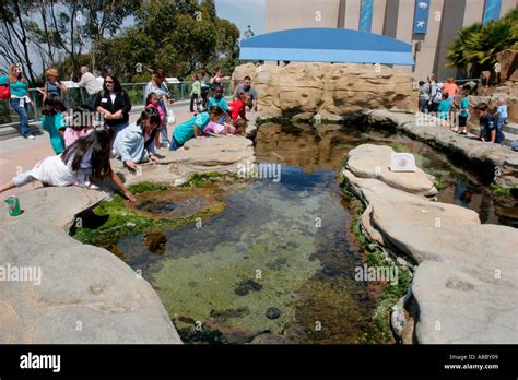 The Birch Aquarium In La Jolla At Victoria Jenkins Blog