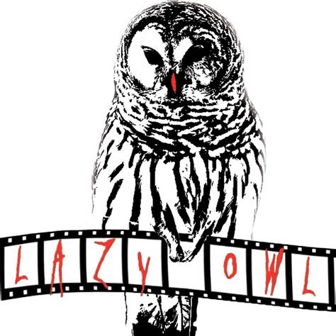 Lazy Owl Production Youtube