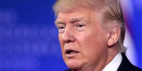 Too Dumb To Even Play Dumb Legal Expert Says Trump Is In Deep