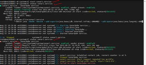 Sonarqube Service Is Active On Server But Url Is Not Working On Browser