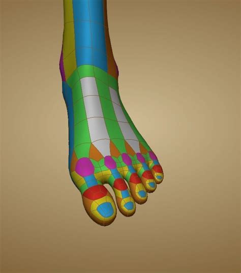 3d Model Base Feemale Body Topology Vr Ar Low Poly Cgtrader