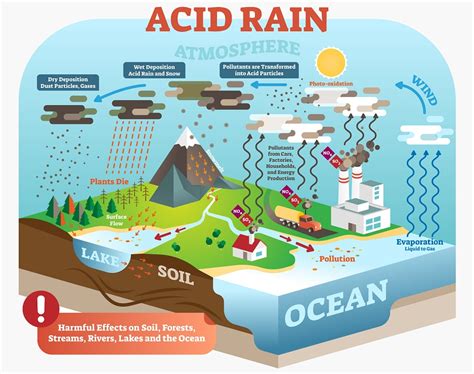 Ls25 The Carbon Cycle Photosynthesis And Respiration
