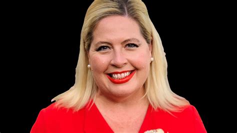 Sa Labor Mp Katrine Hildyard Foi Request Documents Alleging ‘improper Conduct Kept Secret