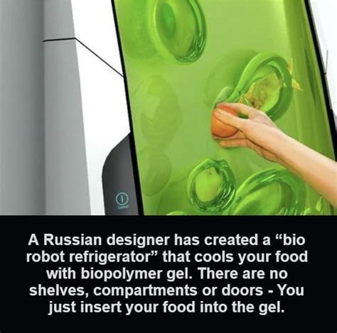 Schlorp Rdontputyourdickinthat