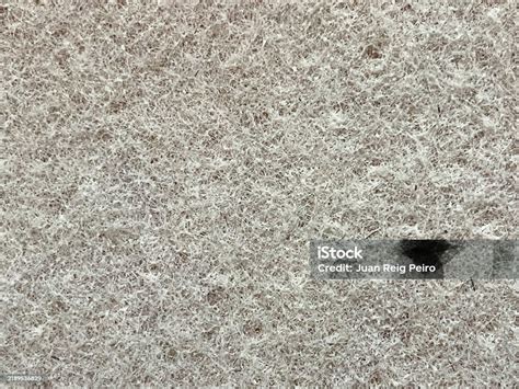 중립적인 배경을 배경으로 흰색 섬유의 복잡하게 얽힌 구조를 보여주는 상세한 매크로 샷으로 다양한 디자인 응용 프로그램을 위한 섬세한 패턴과 질감을 강조합니다 0명에 대한