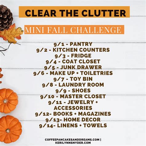 Day Declutter Challenge Get Ready For The Holiday Season Organize By Dreams