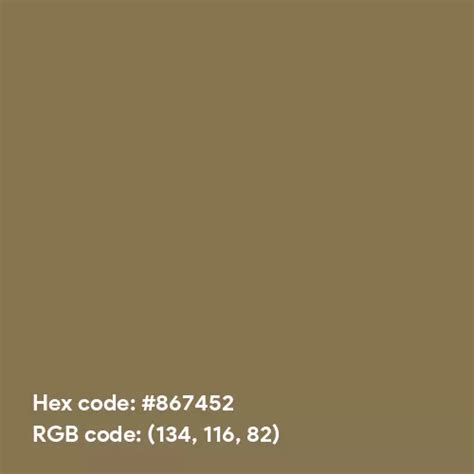 Pyrite Slate Green Color Hex Code Is 867452