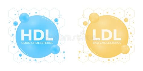 Low Hdl Cholesterol Stock Illustrations 330 Low Hdl Cholesterol Stock