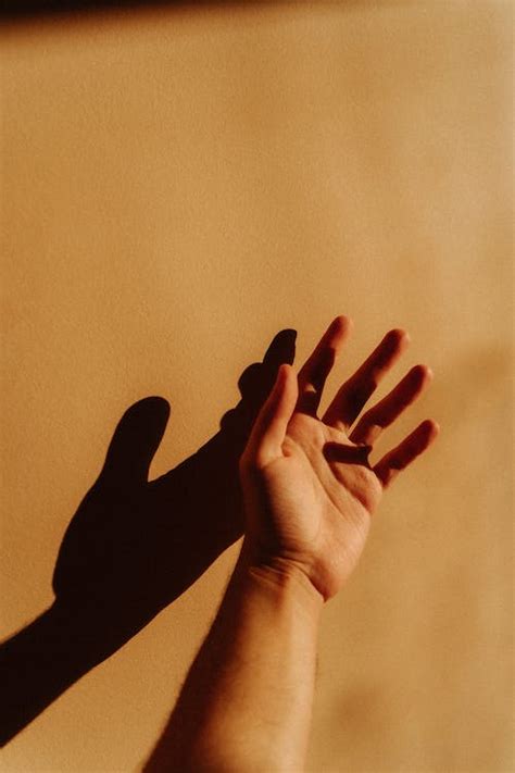 개성 개인적인 고독 고요한 관념적인 그림자 길쭉한 그림자 깊이 내성 대조 따뜻한 음색 따뜻함 미니멀리스트 벽 빛과 그림자 셀렉티브 포커스 손