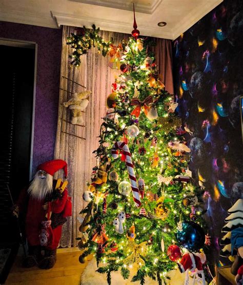 სუპერ ჰოუმი კიდევ ერთი მომხმარებლის ფოტო ️მშვიდობიანი