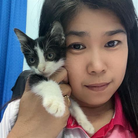 ทำไมตั้งชื่อว่า แฮ่ ดูกันเอาเอง อาการหลังหวยออก 😸😸😸 แมวจร คนรักแมว คลิปแมว คลิปฮา คลิป