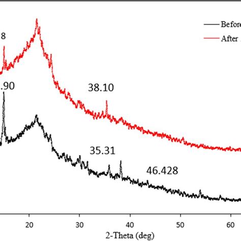 A Sem Image Of Biosorbent Prior To Adsorption B Sem Image Of