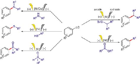 Sp Sp Synthesis X Mol