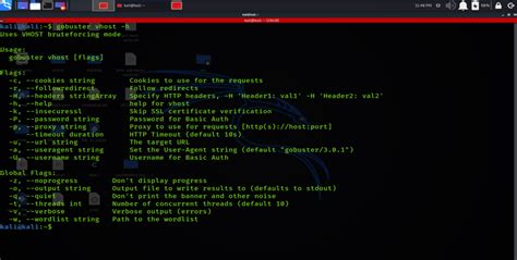 Gobuster Penetration Testing Tools In Kali Tools GeeksforGeeks