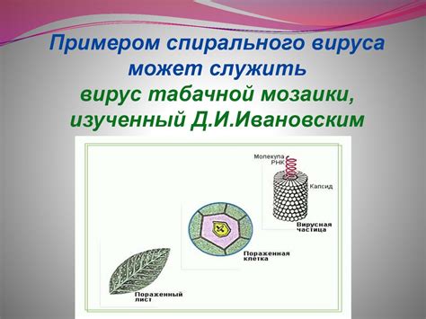 Вирусы неклеточные формы жизни презентация онлайн
