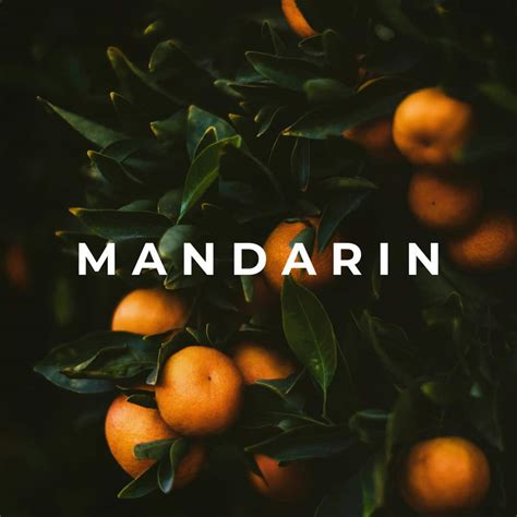 Organic Mandarin Essential Oil Top Quality Supply Available