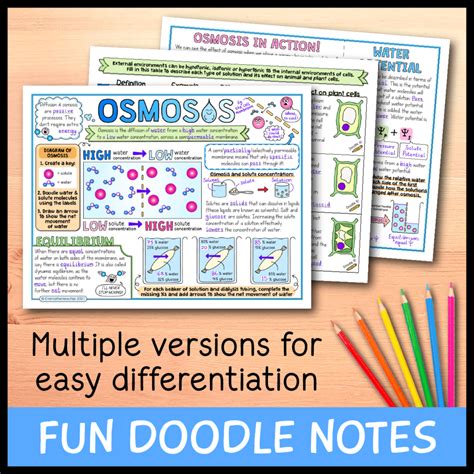 Osmosis Lesson Bundle Emmatheteachie Resources