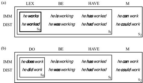 Summary Of Options For The Finite Verb Download Scientific Diagram