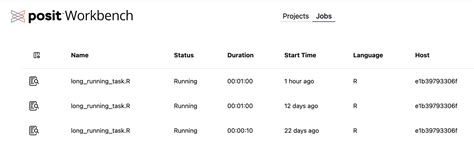 Workbench Jobs Posit Workbench Documentation Release 2025 09 2