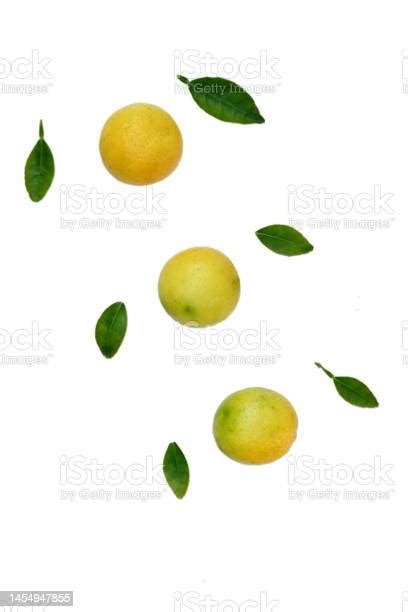 흰색 배경에 녹색 잎과 민트 잎이 있는 잘 익은 노란색 녹색 레몬 과일을 근접 촬영합니다 0명에 대한 스톡 사진 및 기타 이미지 0명 감귤류 과일 건강관리와 의술
