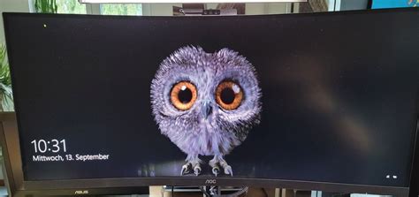 AOC Monitor CU34V5CW BK NEU USB C CURVED 100Hz Kaufen Auf Ricardo