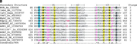 A Distribution Of Surface Electrostatic Potential On The Dna Binding