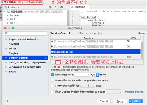 intellij idea 同一项目使用多个git管理多个分支（不同项目 多模块 pull 更新 push 推送 操作） idea 管理两个git分支 mange remote csdn博客