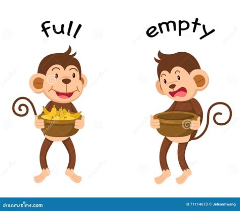 Opposite Words Light And Dark Vector Vector Illustration