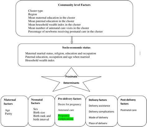Conceptual Framework For Factors Influencing Neonatal Mortality
