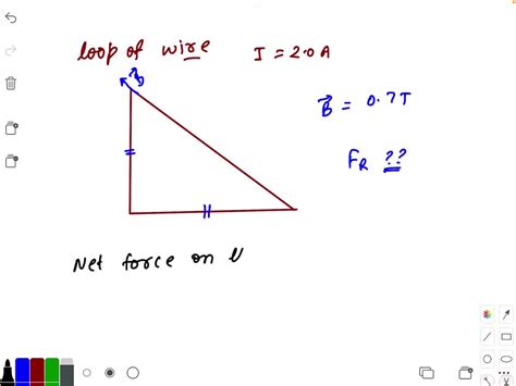 solved a loop of wire carrying a current of 2 0 a is in the shape ofa