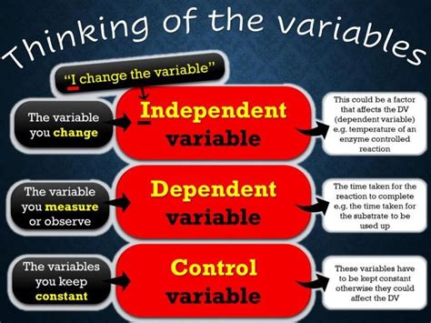 Definition For Controlled Variable At Brooke Plume Blog