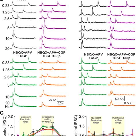 Differential Short Term Plasticity At Reciprocal Inhibitory Synapses
