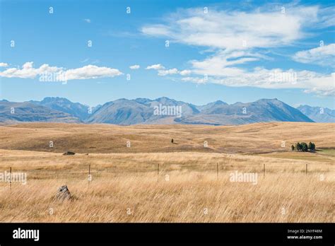 Mackenzie Country On South Island Is One The Most Beautiful Regions In