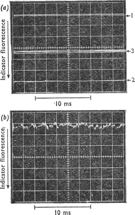 Mixing Efflciency Ofthe Stopped Flow Apparatus Download Scientific Diagram
