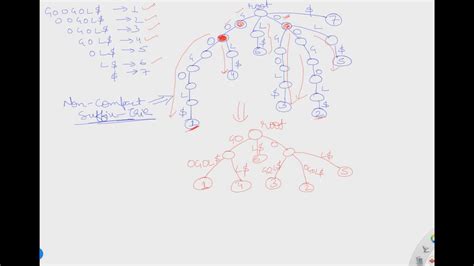 Suffix Trie Compact Youtube