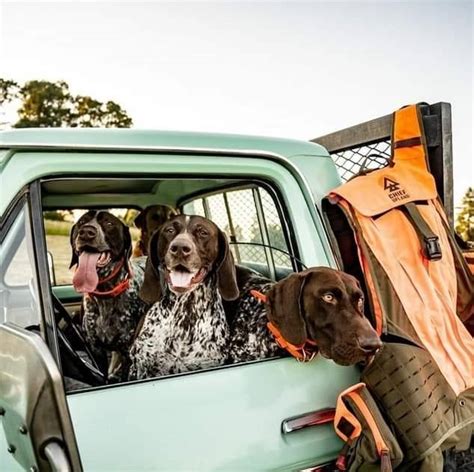 იმერეთის მონადირეთა და მეთევზეთა ლიგა