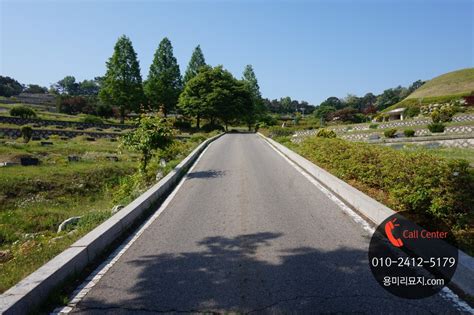 용미리 제1묘지 300구역 조성묘 구역의 진입로 및 전경 모습입니다 서울시립 용미리제1묘지 용미리제2묘지 윤달 묘지이장 묘지화장 묘지개장 파묘 부부합장 산소이장 추천