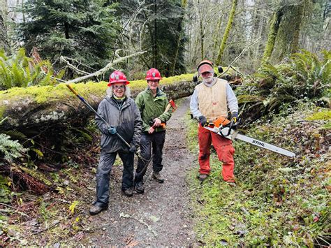 Chainsaw Team At Tree Across Trailjpeg — The Mountaineers