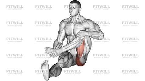 Hip Circles Stretch Exercise Guide Video Techniques Benefits How