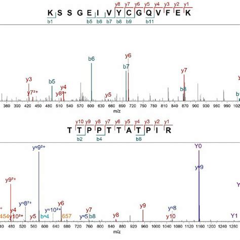 Examples Of Visualization Of PSM In PSM Viewer A For PSM The Download Scientific Diagram