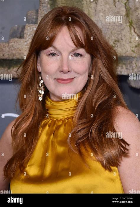 Kathleen York Arrives At A Red Carpet Event For National Treasure