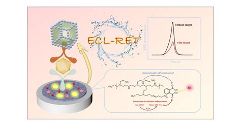 Electrochemiluminescence Immunosensors Based On Ecl Ret Triggering Between Mn Sanepei Luminol