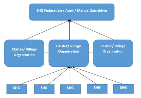 Development Processes And The Development Industry Role Of Shgs