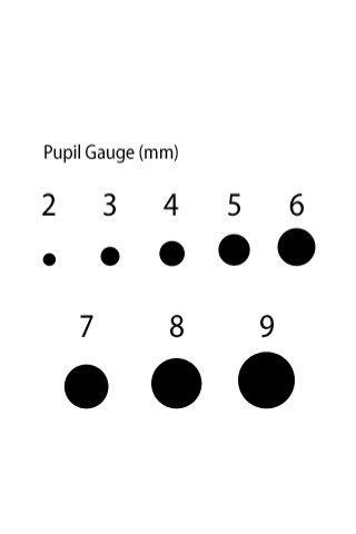 Pupil Gauge Chart